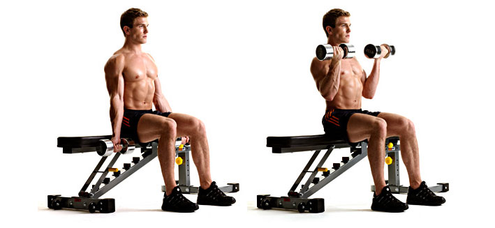 Bíceps - Curl Inclinado con Mancuernas - Tupincho Esteroides Comprar